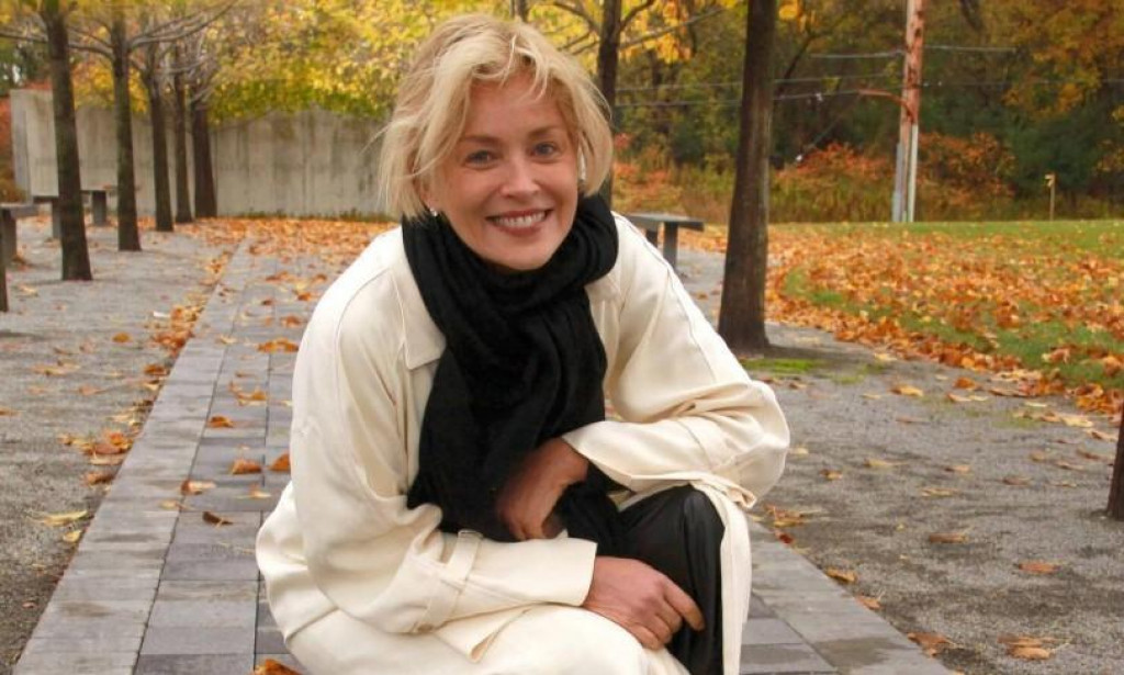 Nova životna bitka nakon moždanog udara: Šeron Stoun dijagnostikovan ...